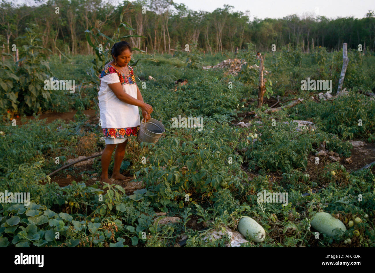 MEXICO Yucatan Peninsula Stock Photo - Alamy