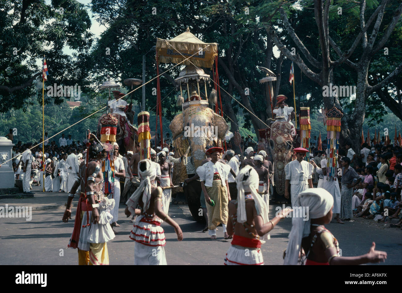 SRI LANKA South Asia Kandy Esala Perahera Hindu festival parade with ...