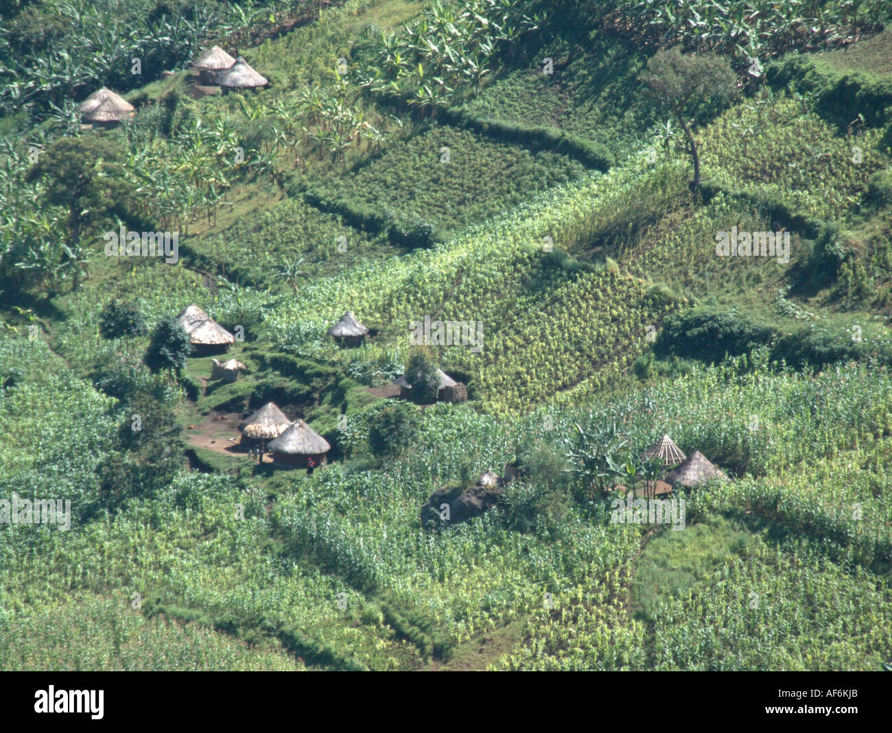 Homesteads of Sabiny families on the slopes of Mount Elgon Stock Photo ...