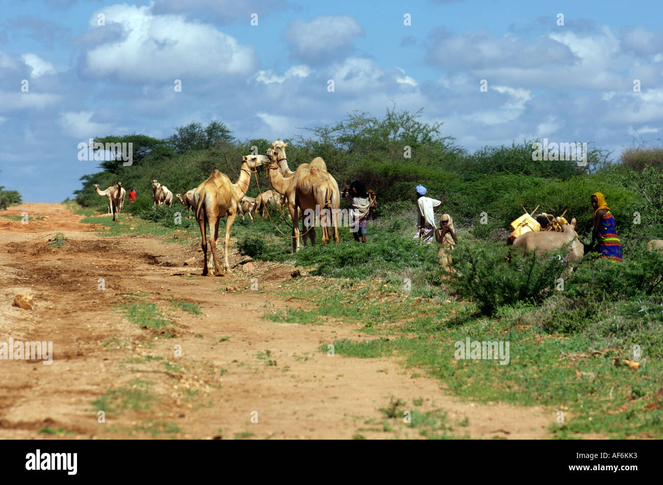 Somali nomad hi-res stock photography and images - Alamy