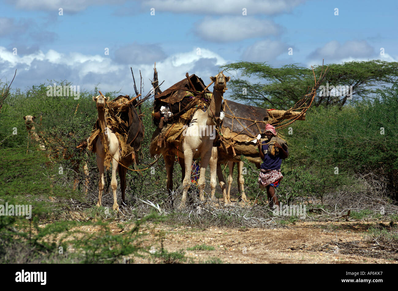 Somali nomad hi-res stock photography and images - Alamy