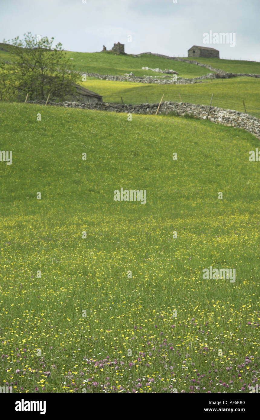 Ruined farm building hi-res stock photography and images - Alamy