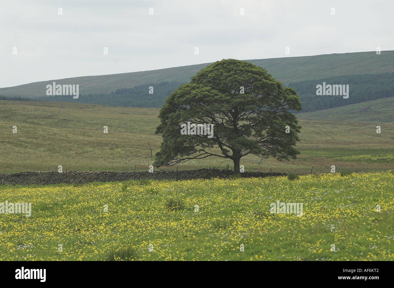 Lone way hi-res stock photography and images - Alamy