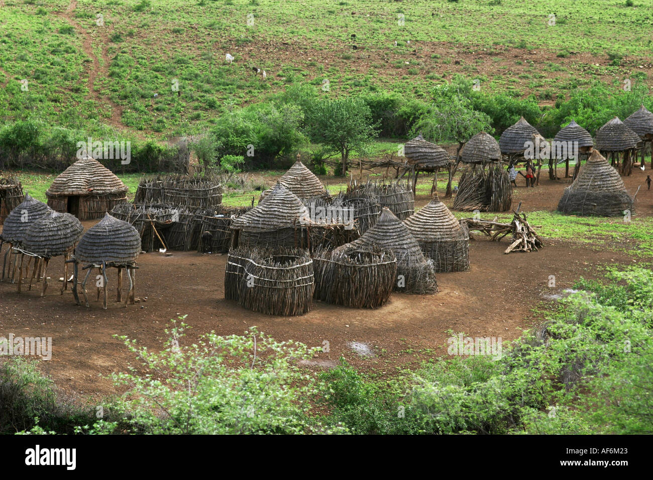 South Sudan Landscape