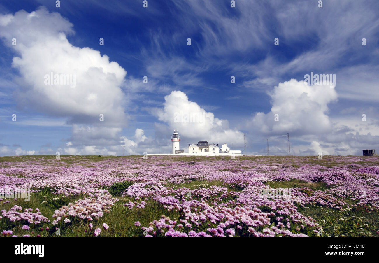 Loop head co clare hi-res stock photography and images - Alamy