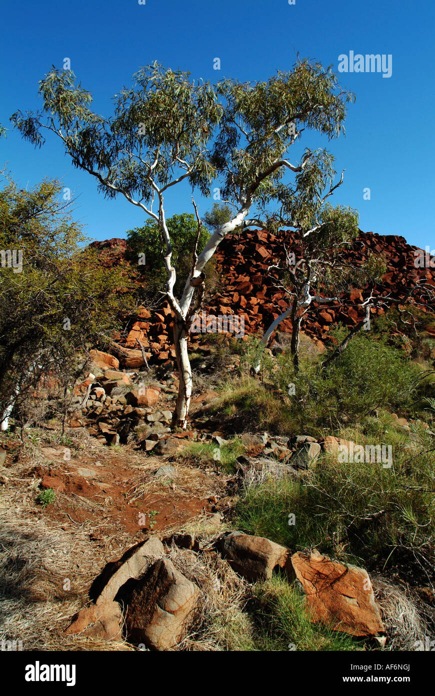 AUSTRALIA Western Australia Dampier Peninsula Stock Photo - Alamy