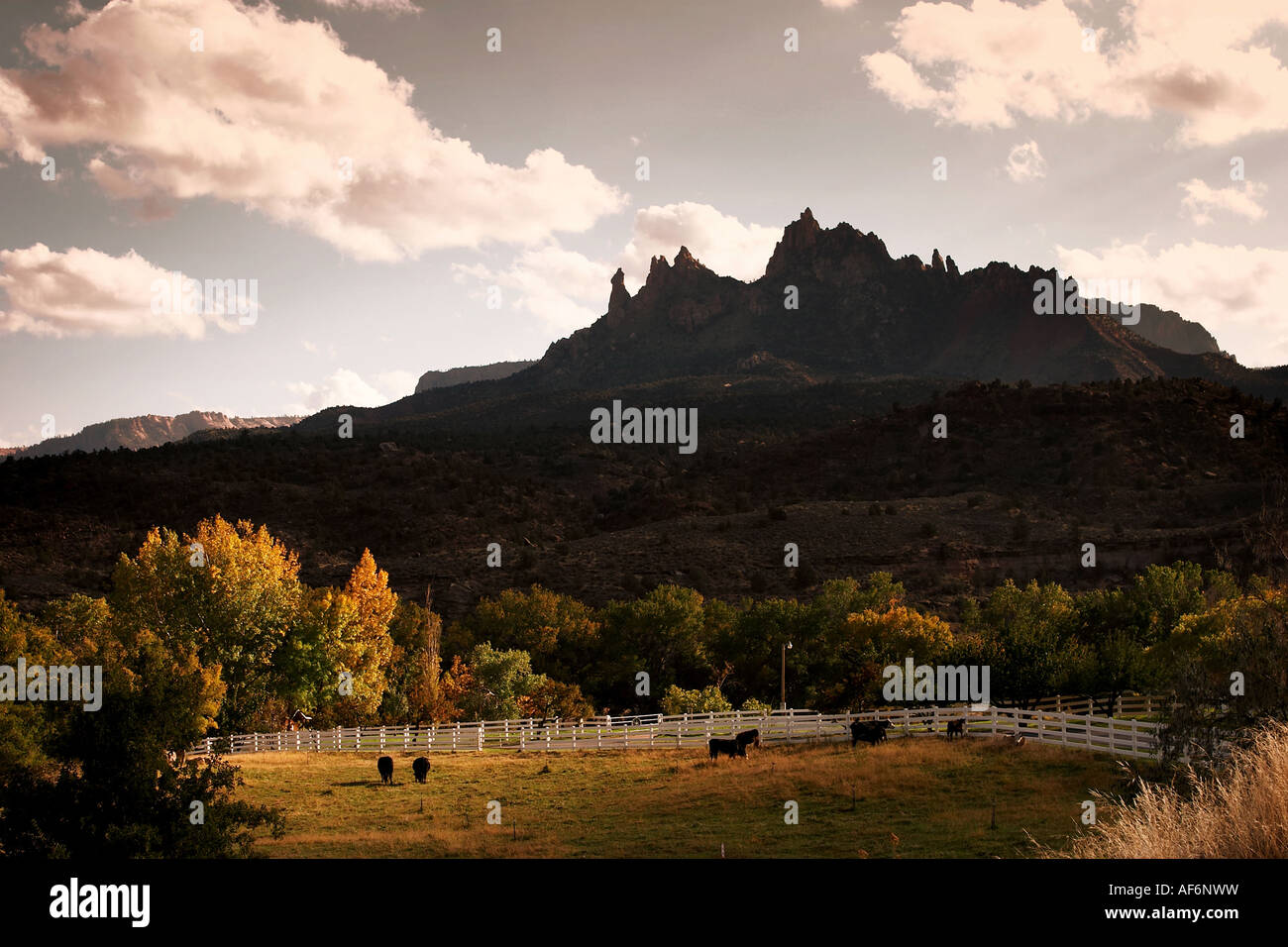 Horse Farm Under Mountain Zion National Park, Utah, USA Stock Photo - Alamy