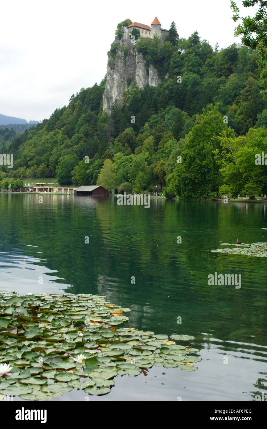 The Grad castle Bled Slovenia Stock Photo - Alamy