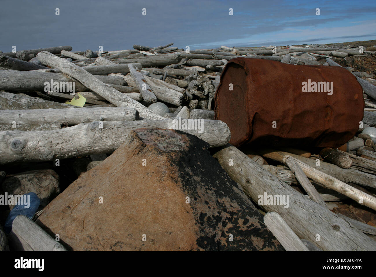 Beachline in unspoilt wilderness hi-res stock photography and images ...