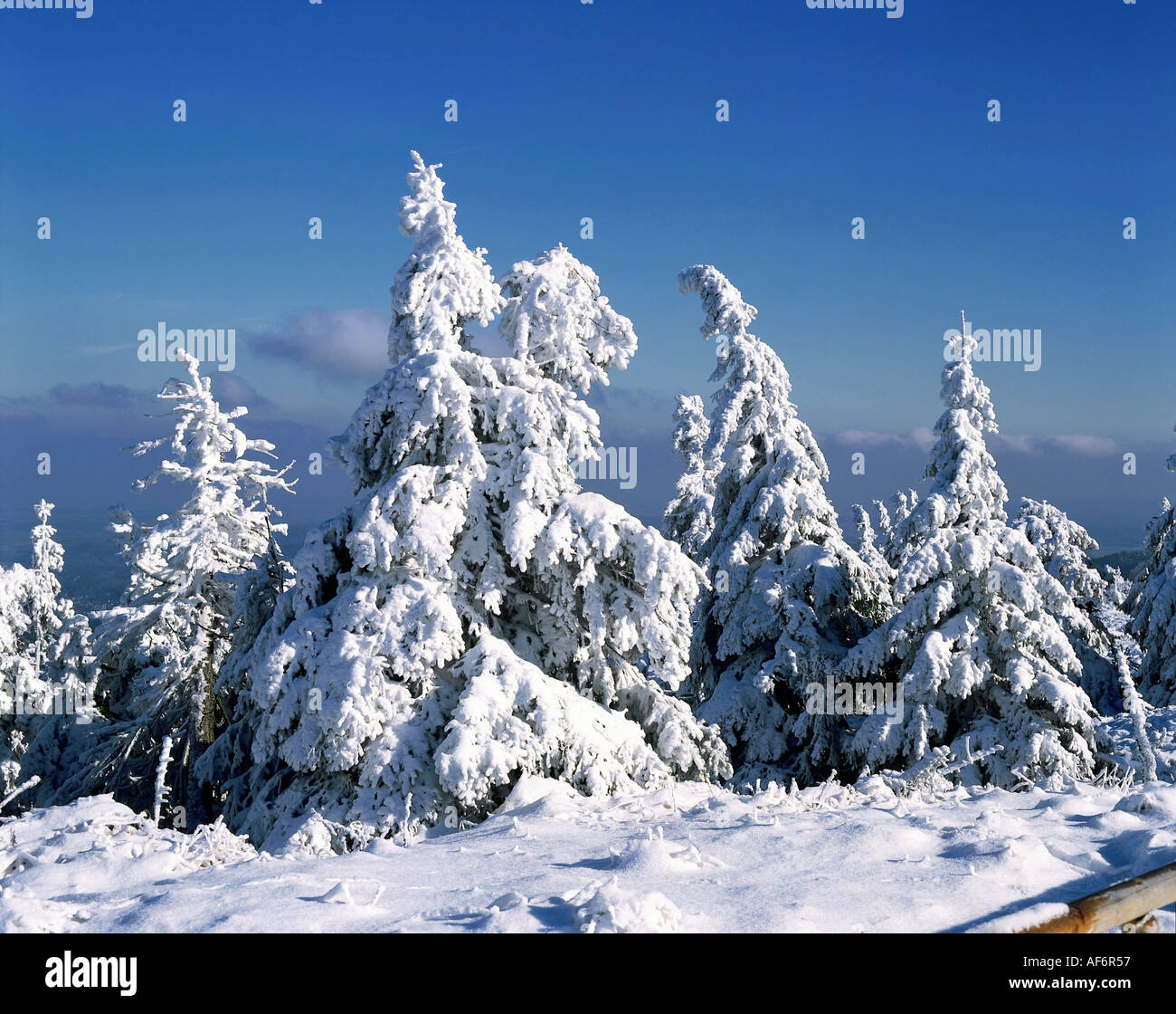 Nationalpark harz brocken hi-res stock photography and images - Alamy