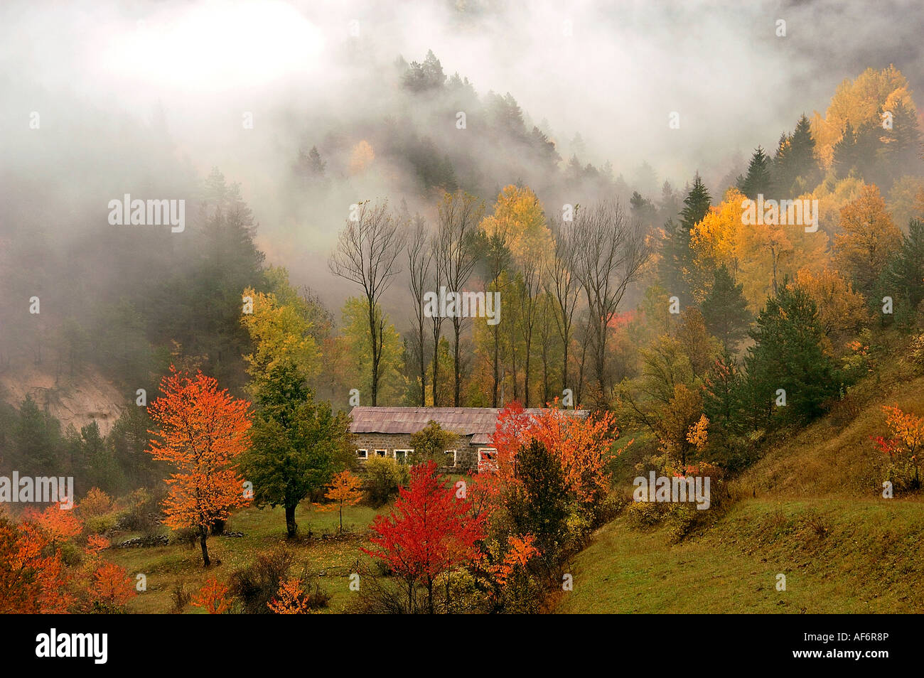 Zigana Pass, Zigana Mountains Trabzon Turkey Stock Photo - Alamy