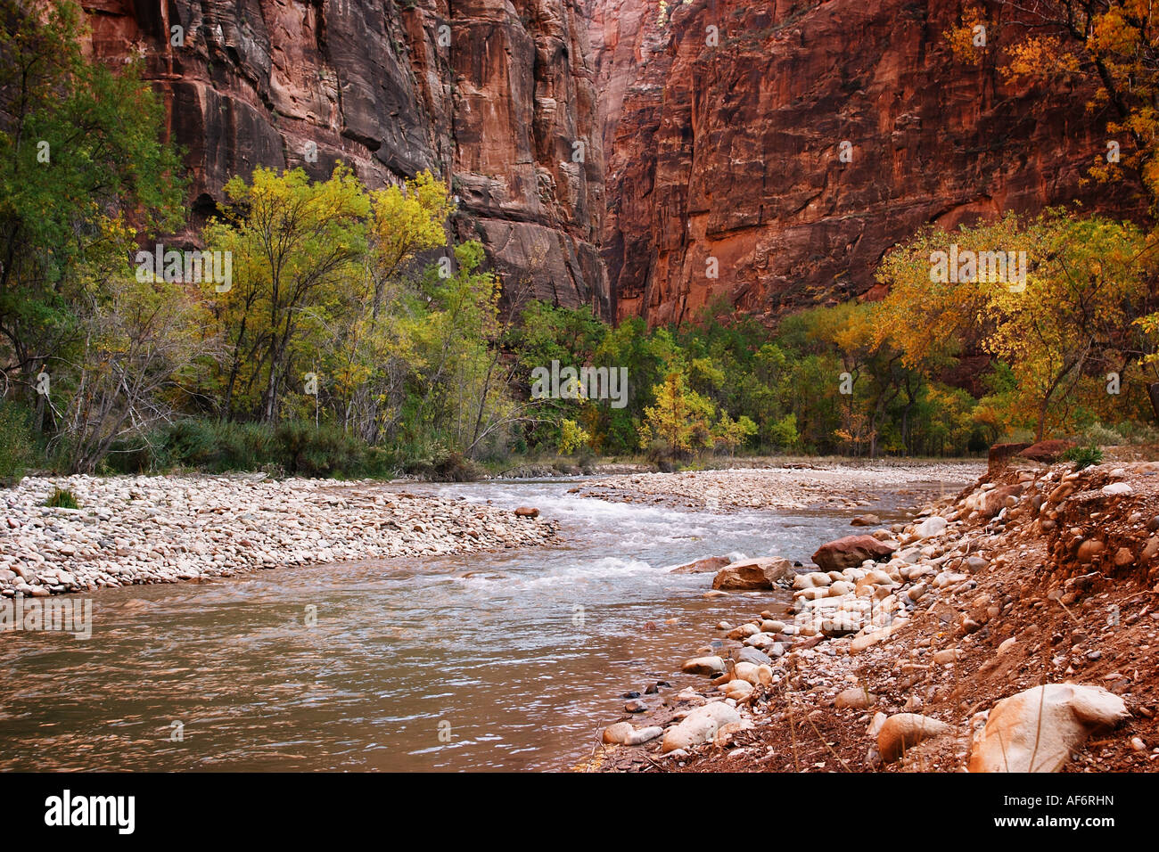 Virgin River Cutting Through Valley Floor Zion National Park, Utah ...