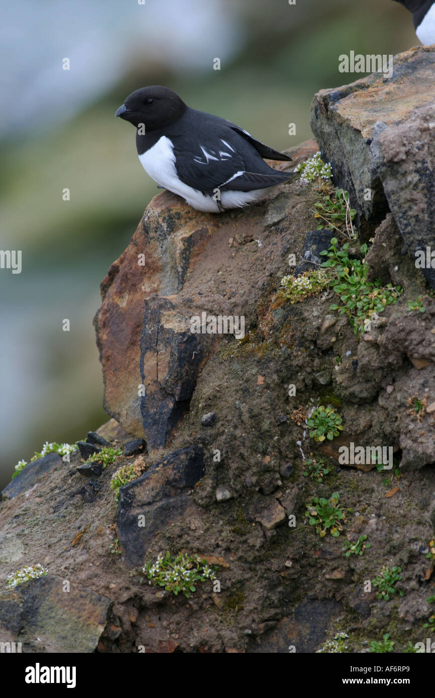 Barentshavet hi-res stock photography and images - Alamy