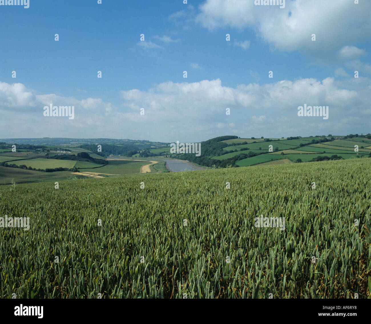 Devon cornwall border hi-res stock photography and images - Alamy