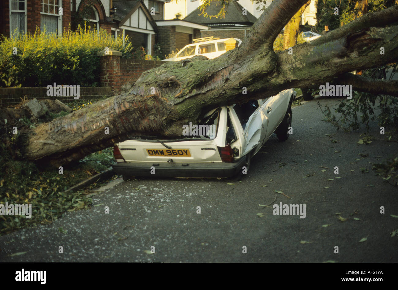 Storm Damage after the great storm of 87 Stock Photo - Alamy