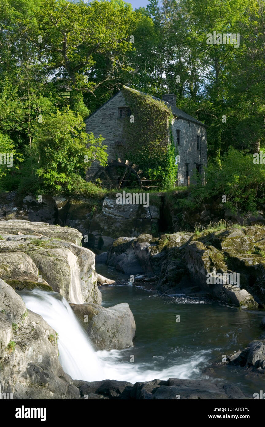 Cenarth Waterfalls Carmarthenshire Wales Stock Photo - Alamy