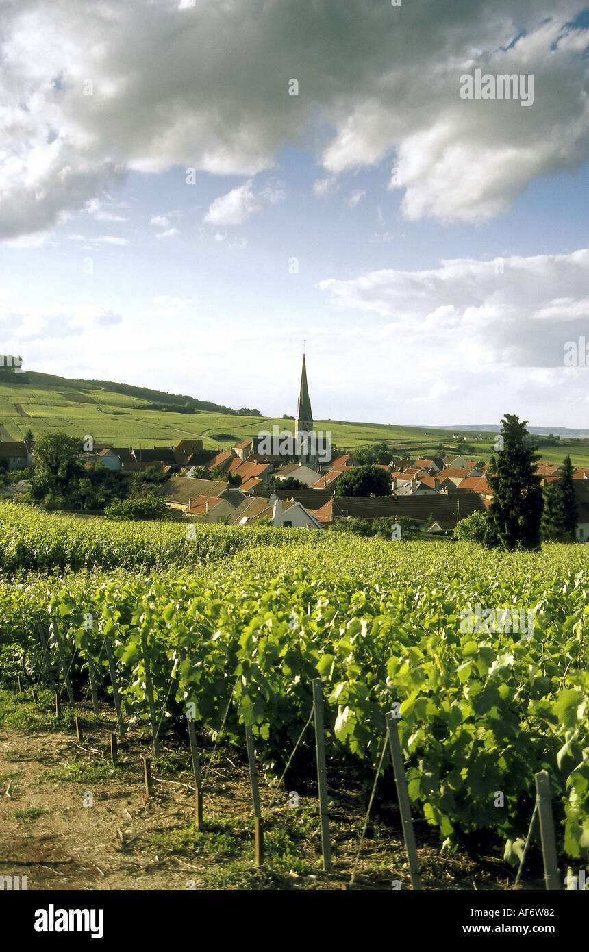 geography / travel, France, Champagne, winegrowing-estate near Reims ...
