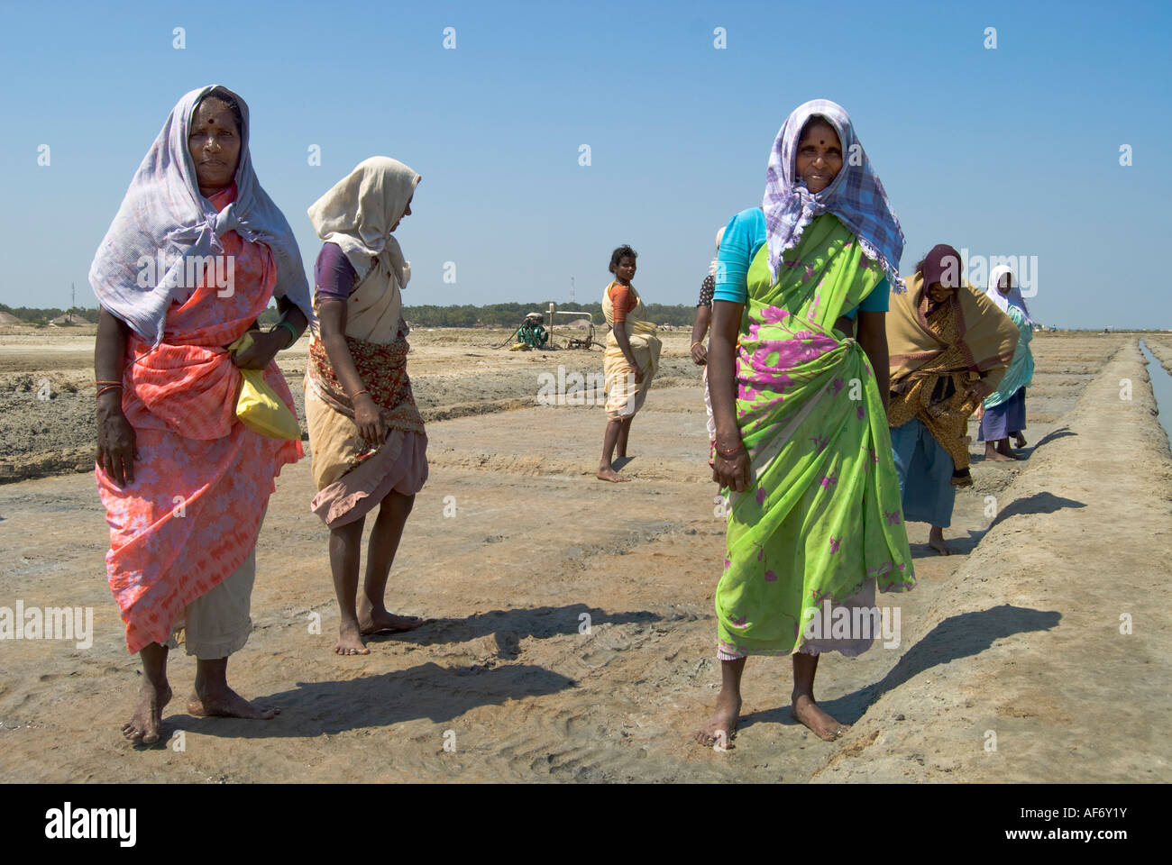 The work in the Marakanam Salt Pans can be extremely hard with ...