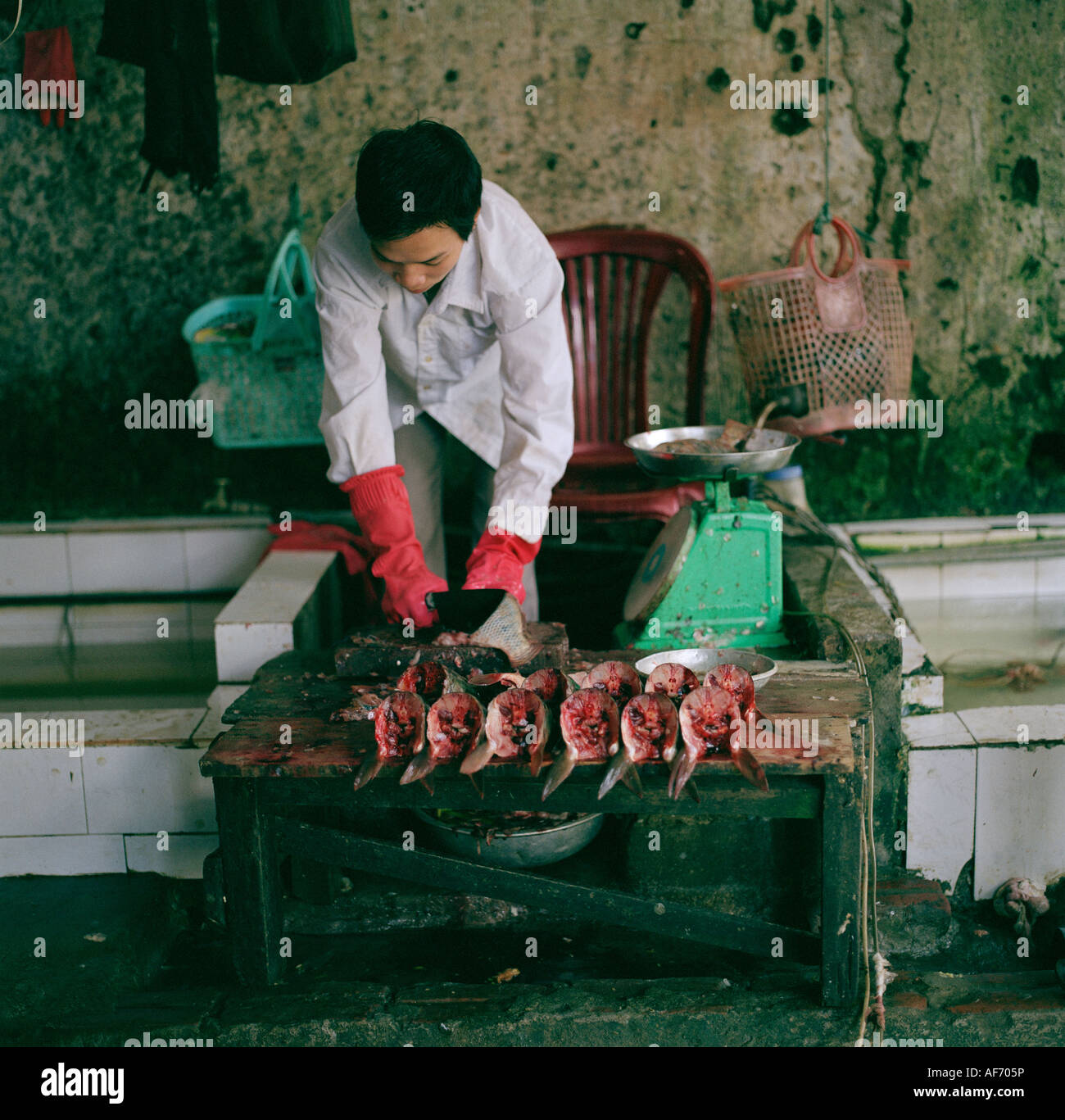 Meat market in Sapa in North Vietnam in Far East Southeast Asia ...