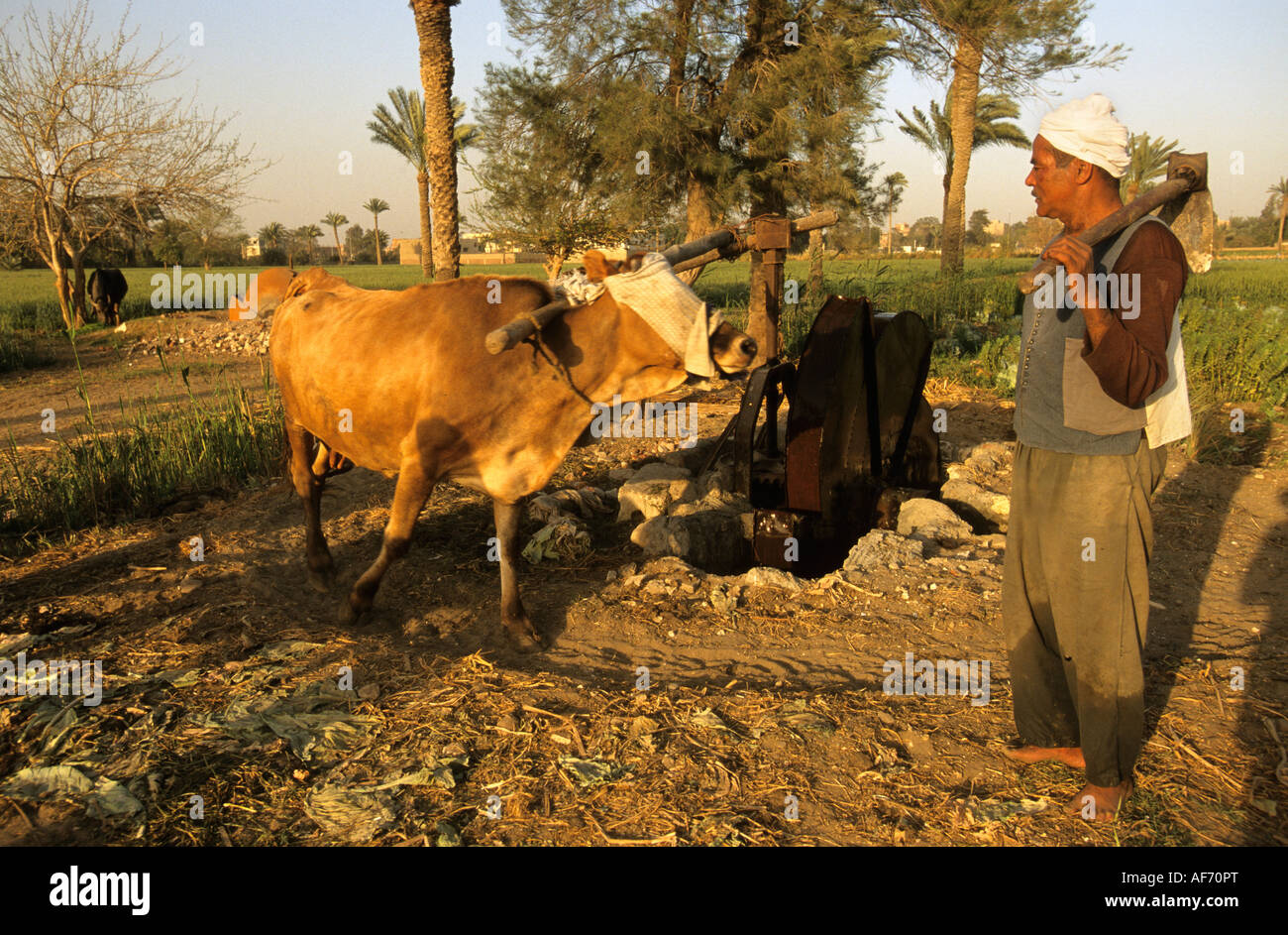 Pulling water from well hi-res stock photography and images - Alamy