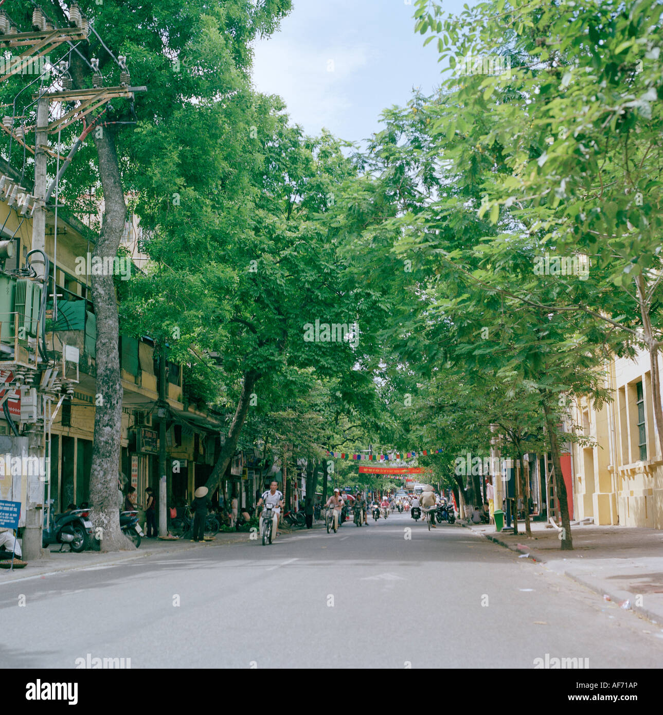 Travel Photography - A tree lined street in the centre of the Old City ...