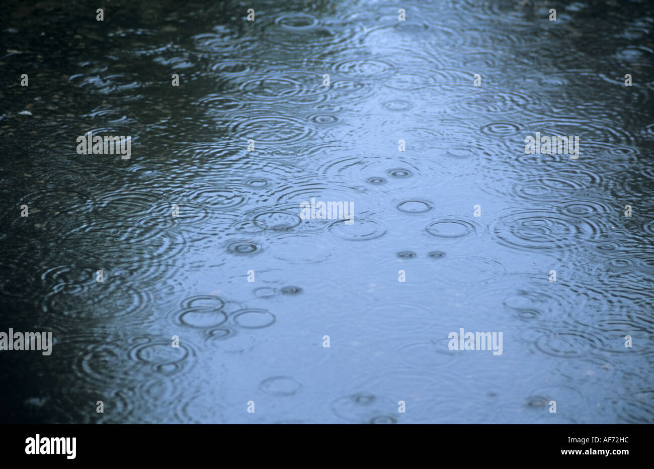 raindrops on puddle Stock Photo - Alamy