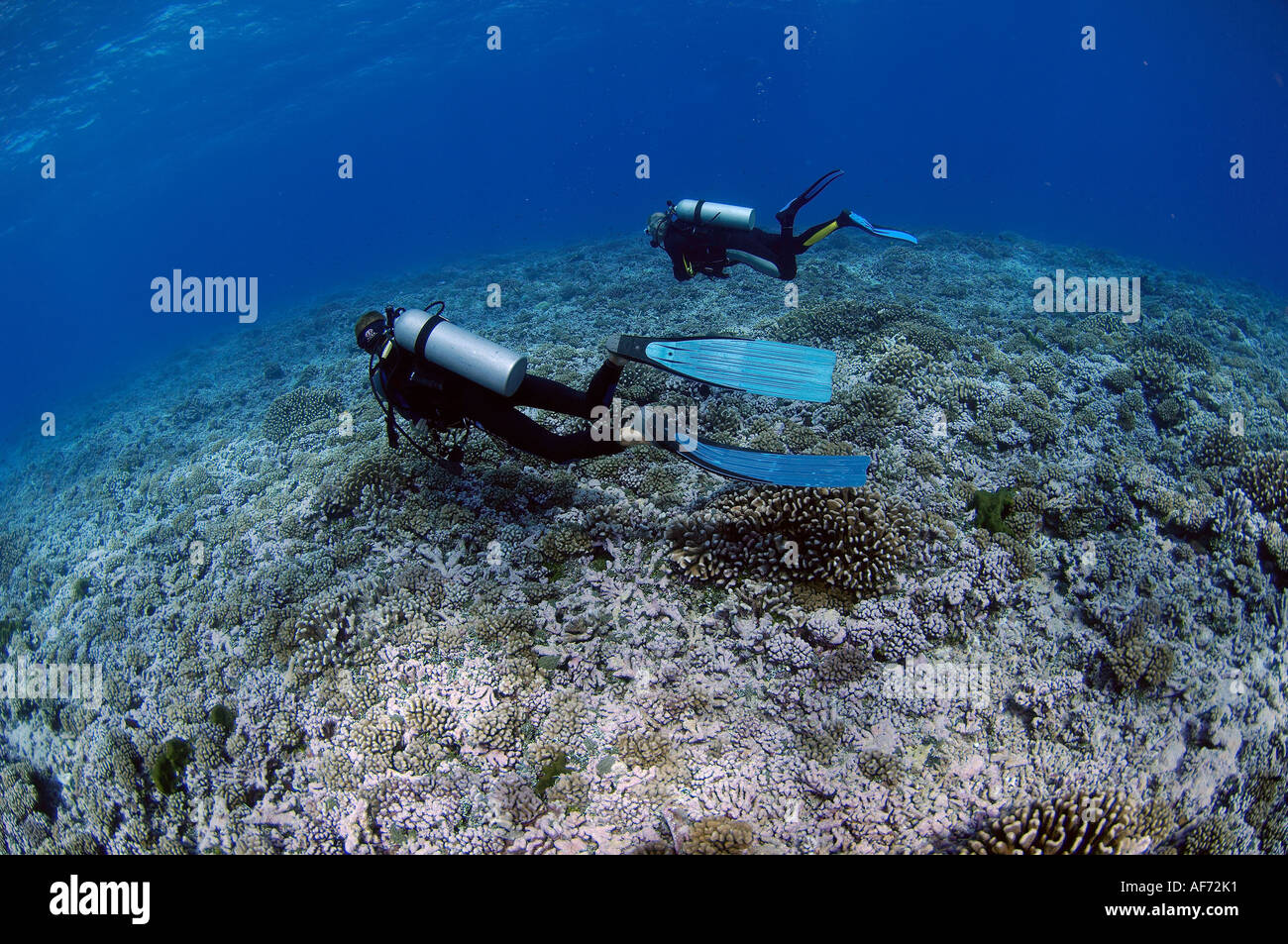 Scuba divers decompress after a deep dive in Tiputa Pass Rangiroa Stock ...