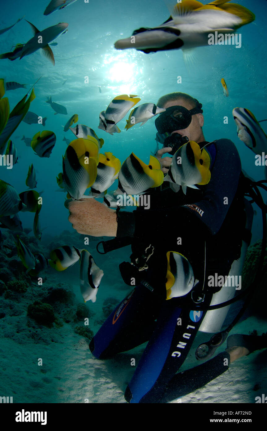 Scuba divers interact with marine life in Rangiroa French Polynesia ...