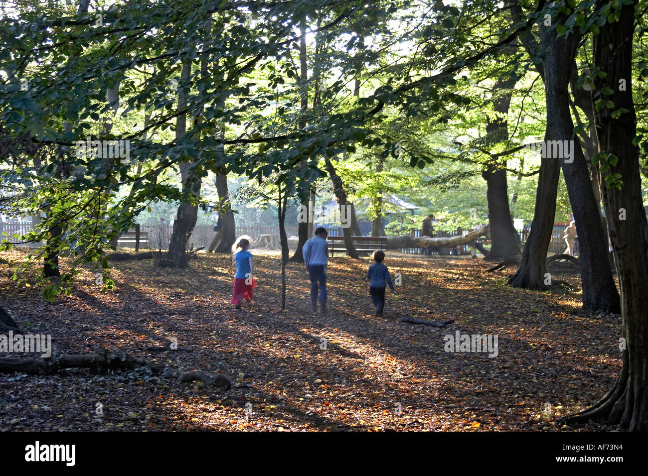 Person in ancient woodland uk hi-res stock photography and images - Alamy