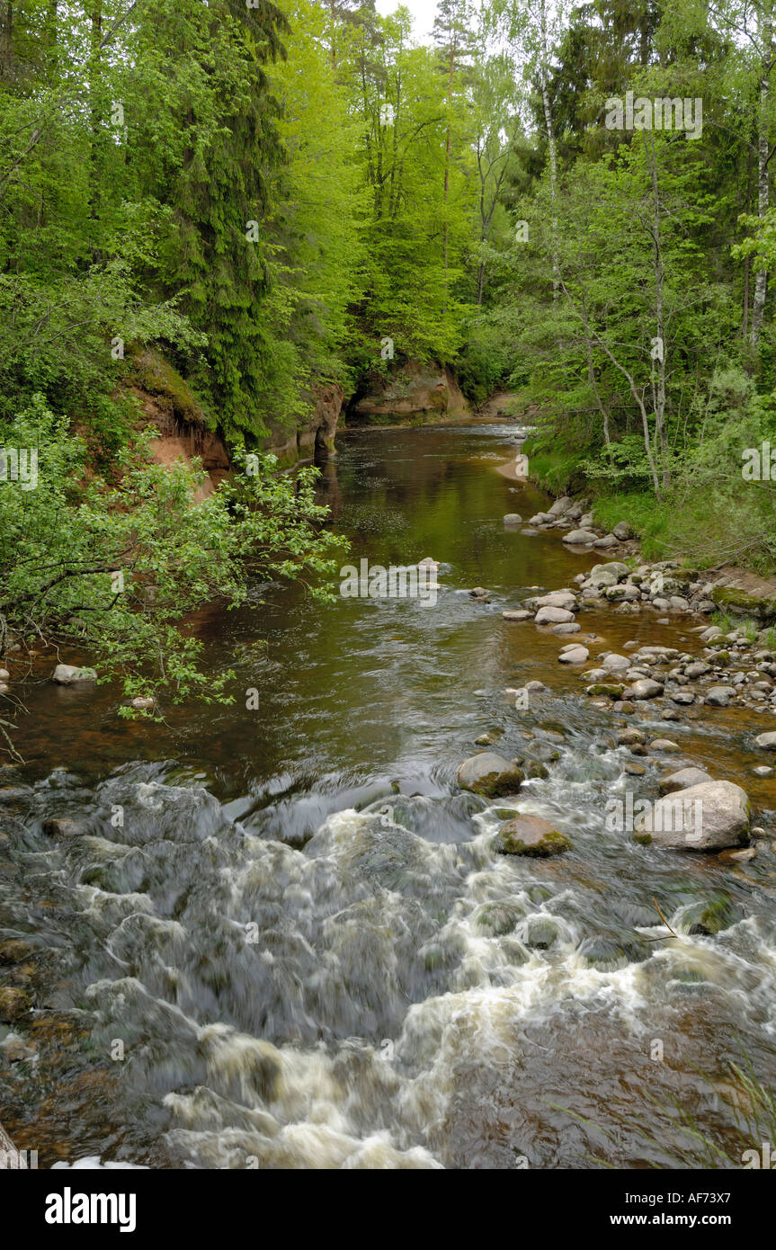 River Amata, Gauja National Park, Latvia Stock Photo - Alamy
