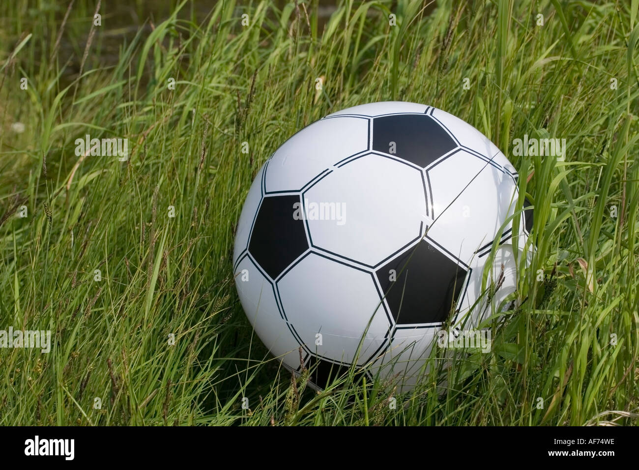 ball in grass Stock Photo - Alamy