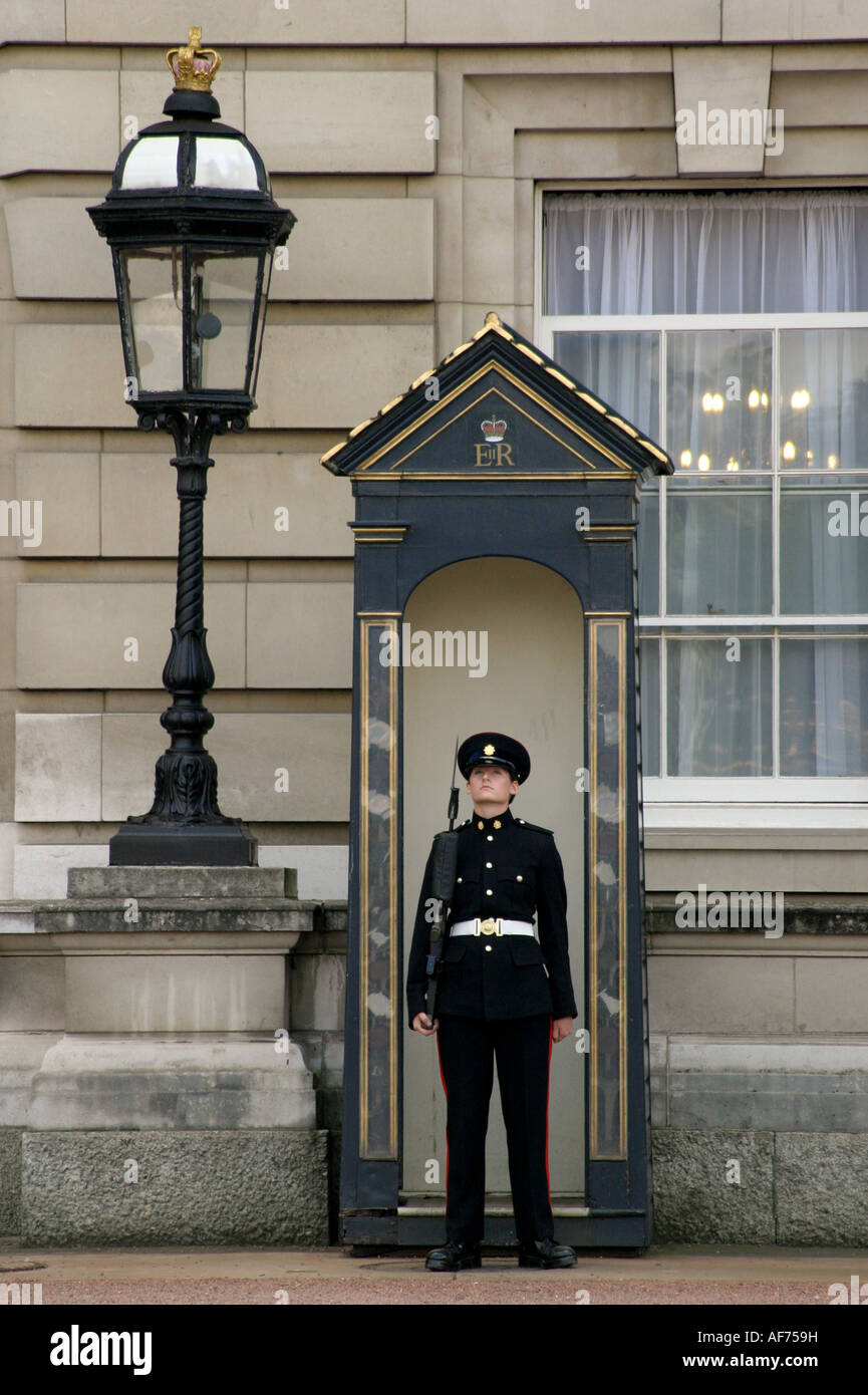 Guardsman at Buckingham Palace London Stock Photo - Alamy