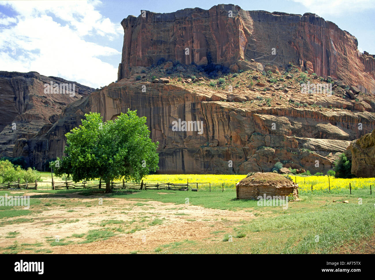 A log Navajo Indian hogan beneath the sandstone walls of Canyon de ...
