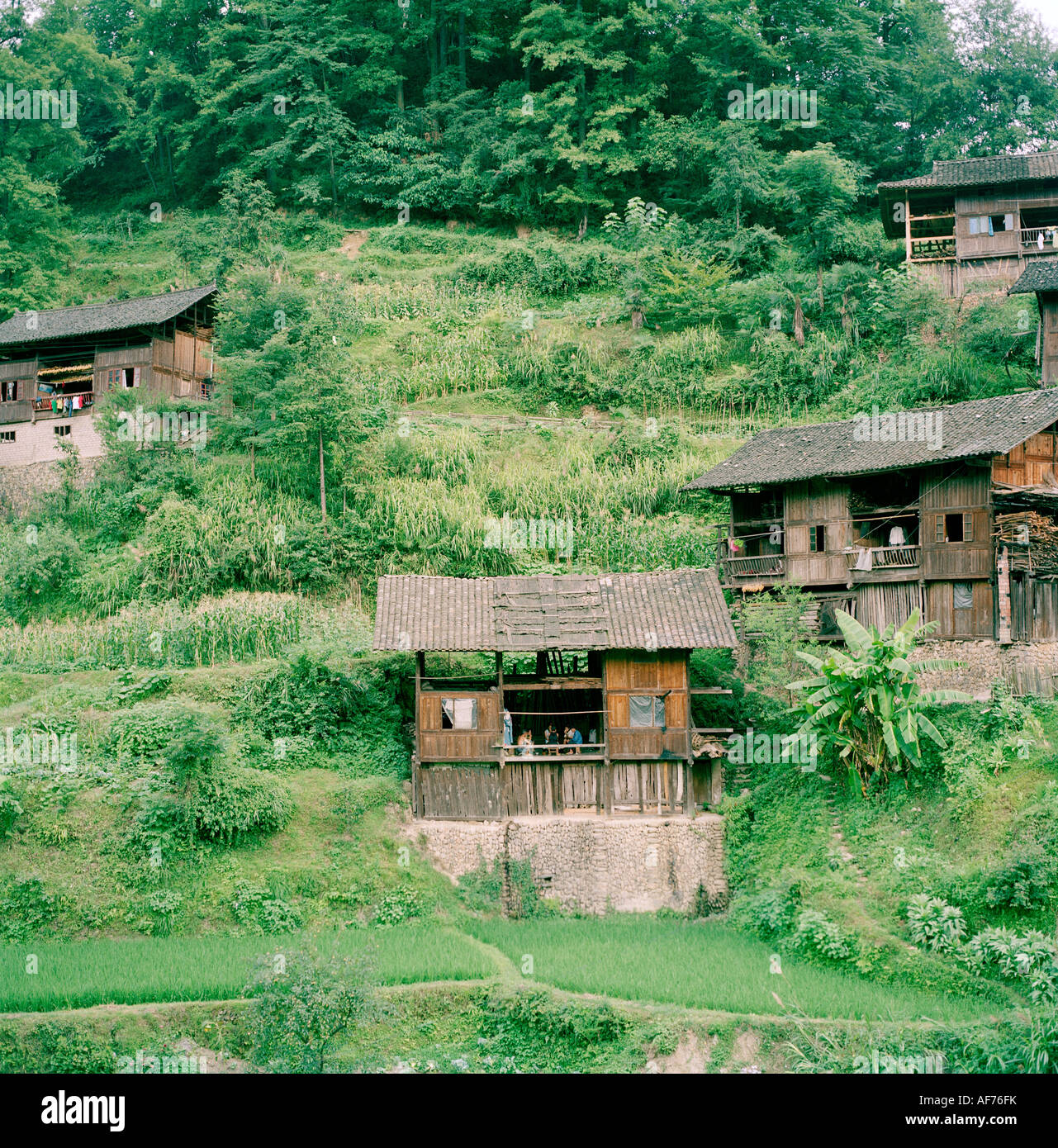 World Travel. Miao Village in rural Guizhou Province in China in East ...
