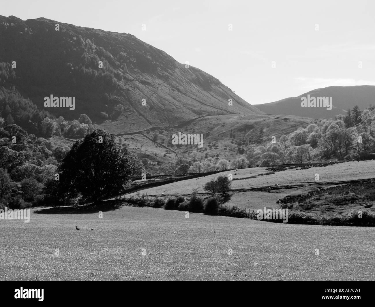 Ullswater summer Black and White Stock Photos & Images - Alamy