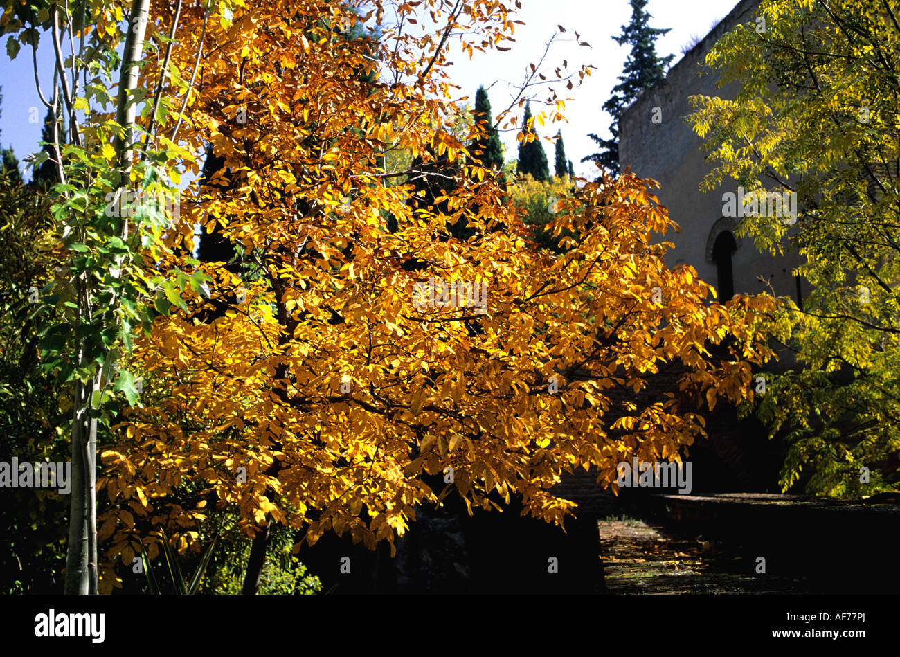 Autumn (Fall) at the Alhambra Palace, Granada, Spain Stock Photo - Alamy
