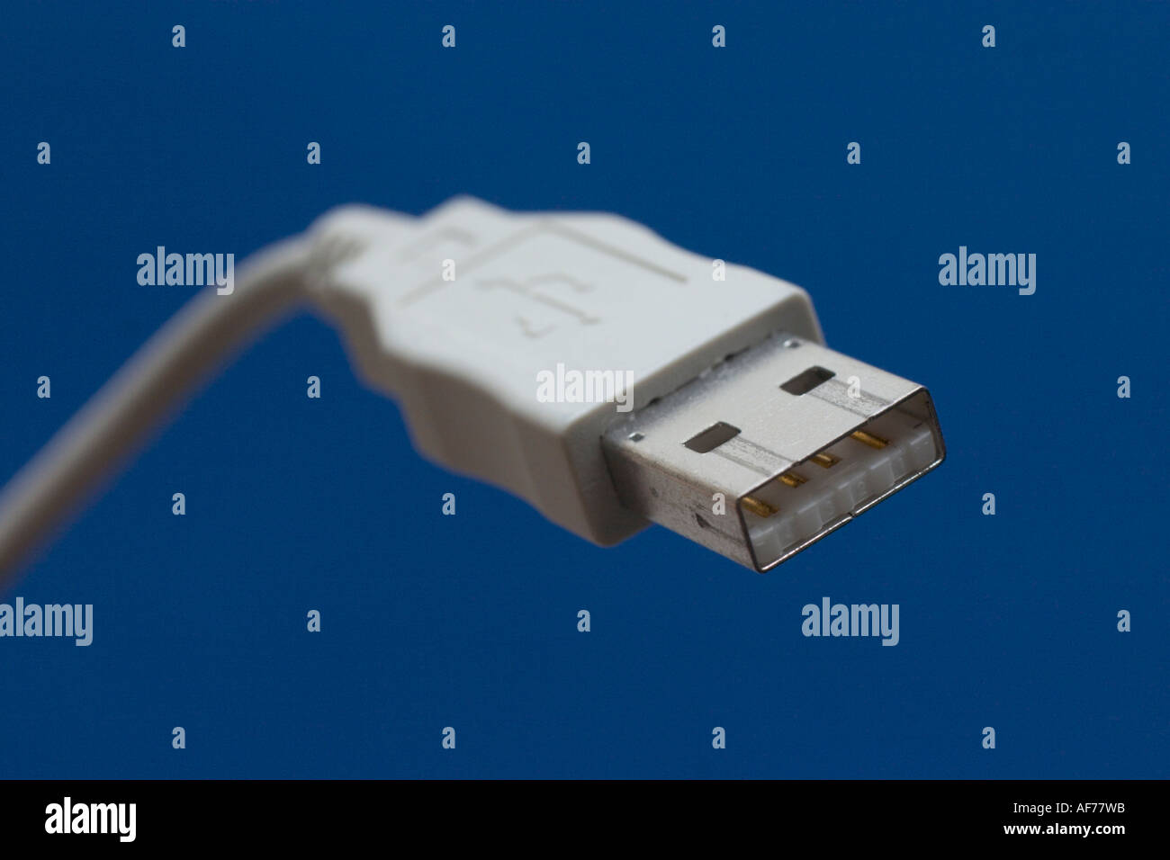 Electronic information connect Cut Out Stock Images & Pictures - Alamy