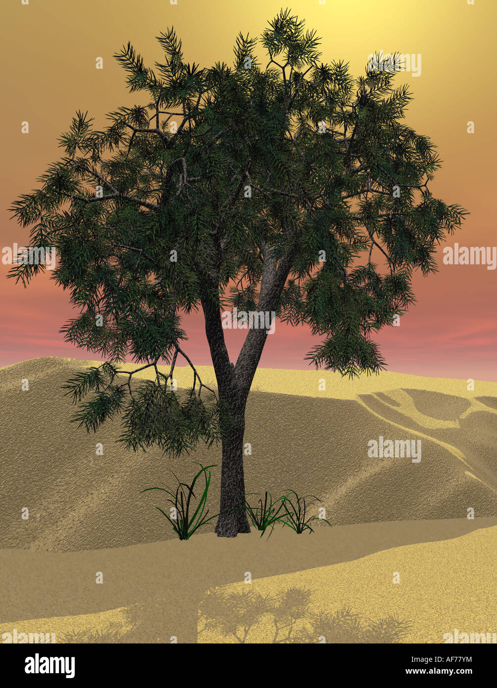 3d rendered image of a Cedar of Lebanon tree in the desert with a ...