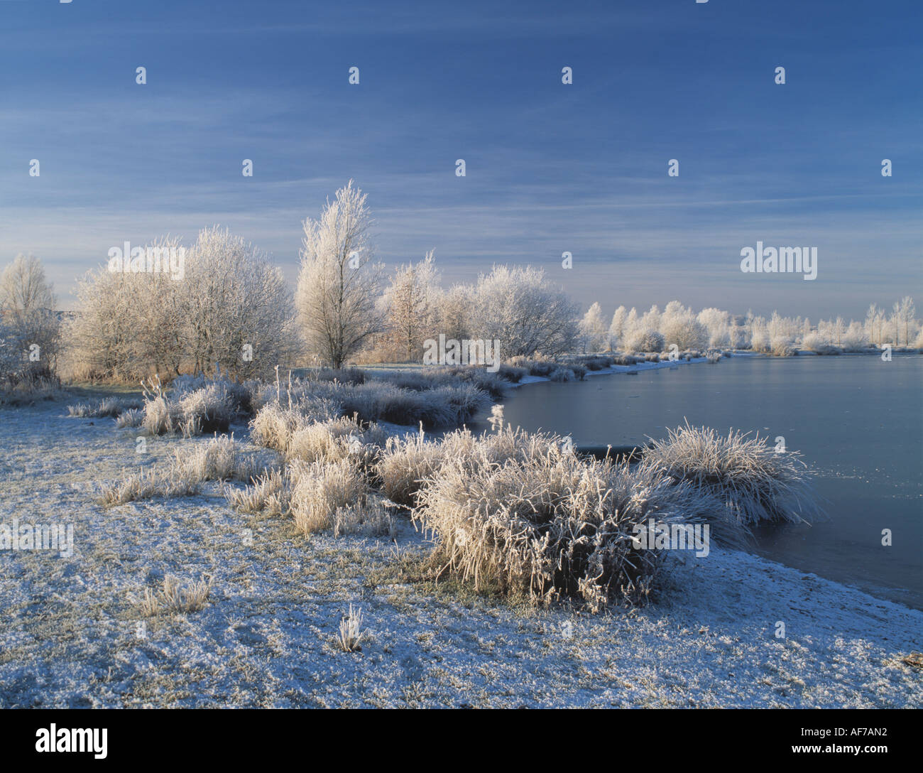 United Kingdom. England. Suffolk. Winter landscape with lake Stock ...