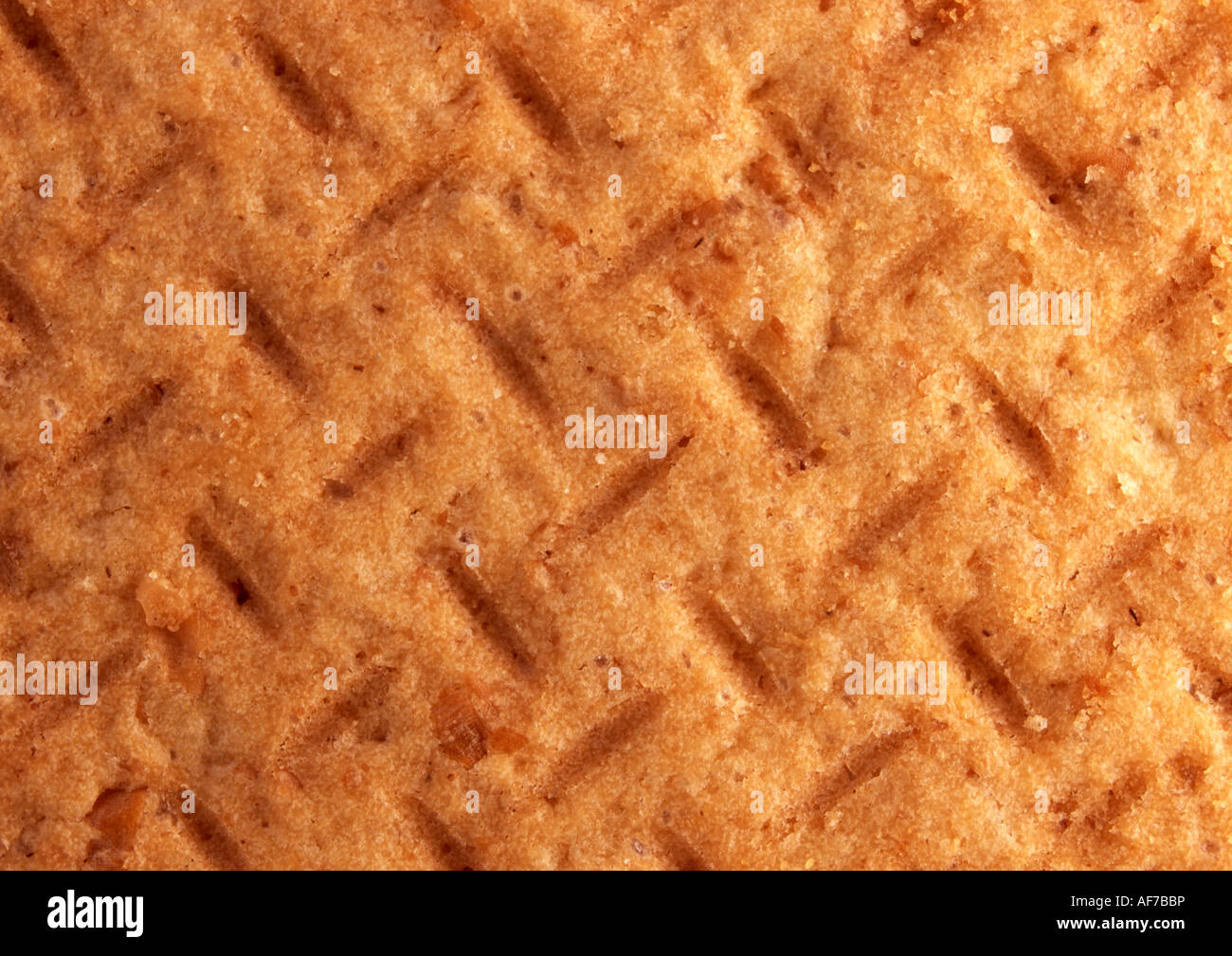Close Up Of Digestive Biscuit (Medium Format Stock Photo - Alamy