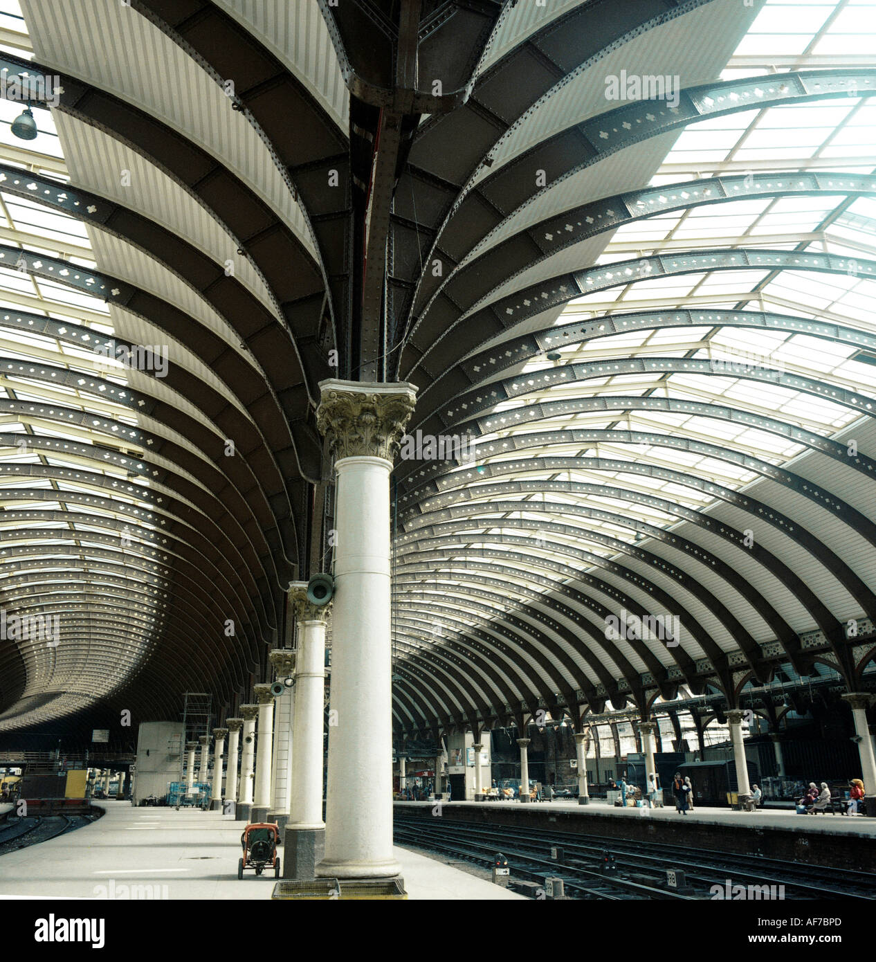 Steel Column Architecture