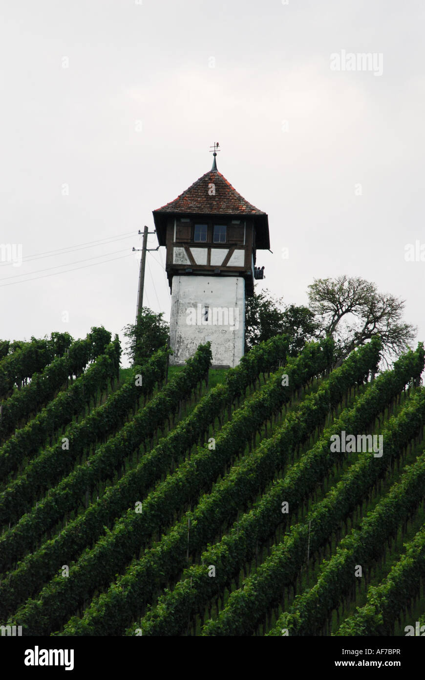 watchtower in the vine Stock Photo - Alamy