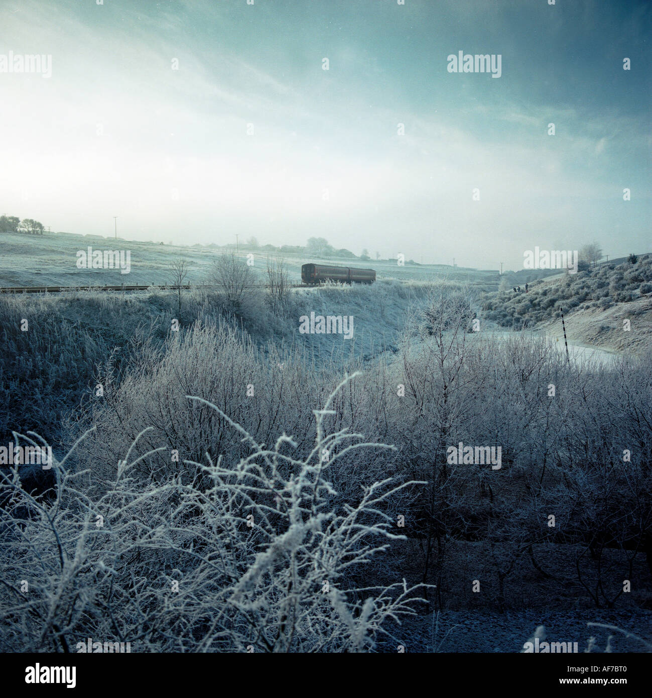 United Kingdom. England. Yorkshire. Cold frosty winter scene with ...