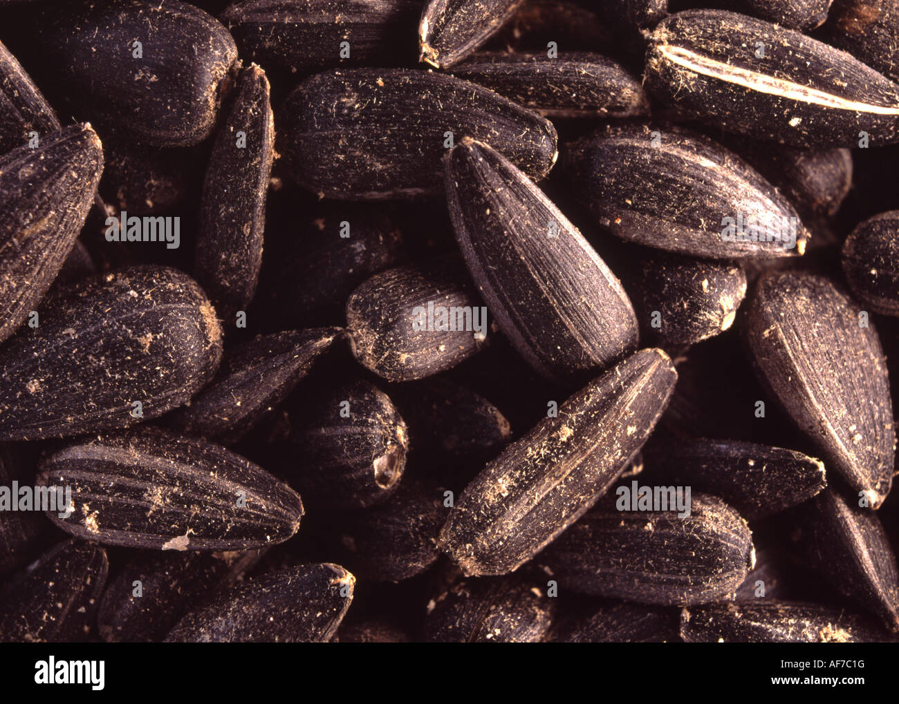 Close up texture black close up medium format pattern hi-res stock ...