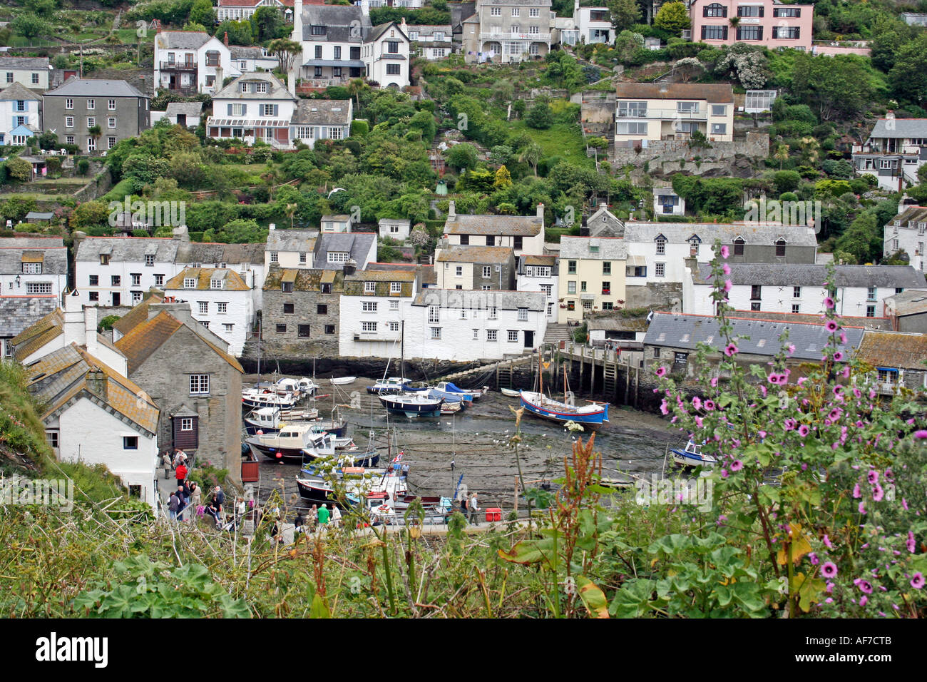 Polperro Overview, Cornwall, UK, Europe Stock Photo - Alamy