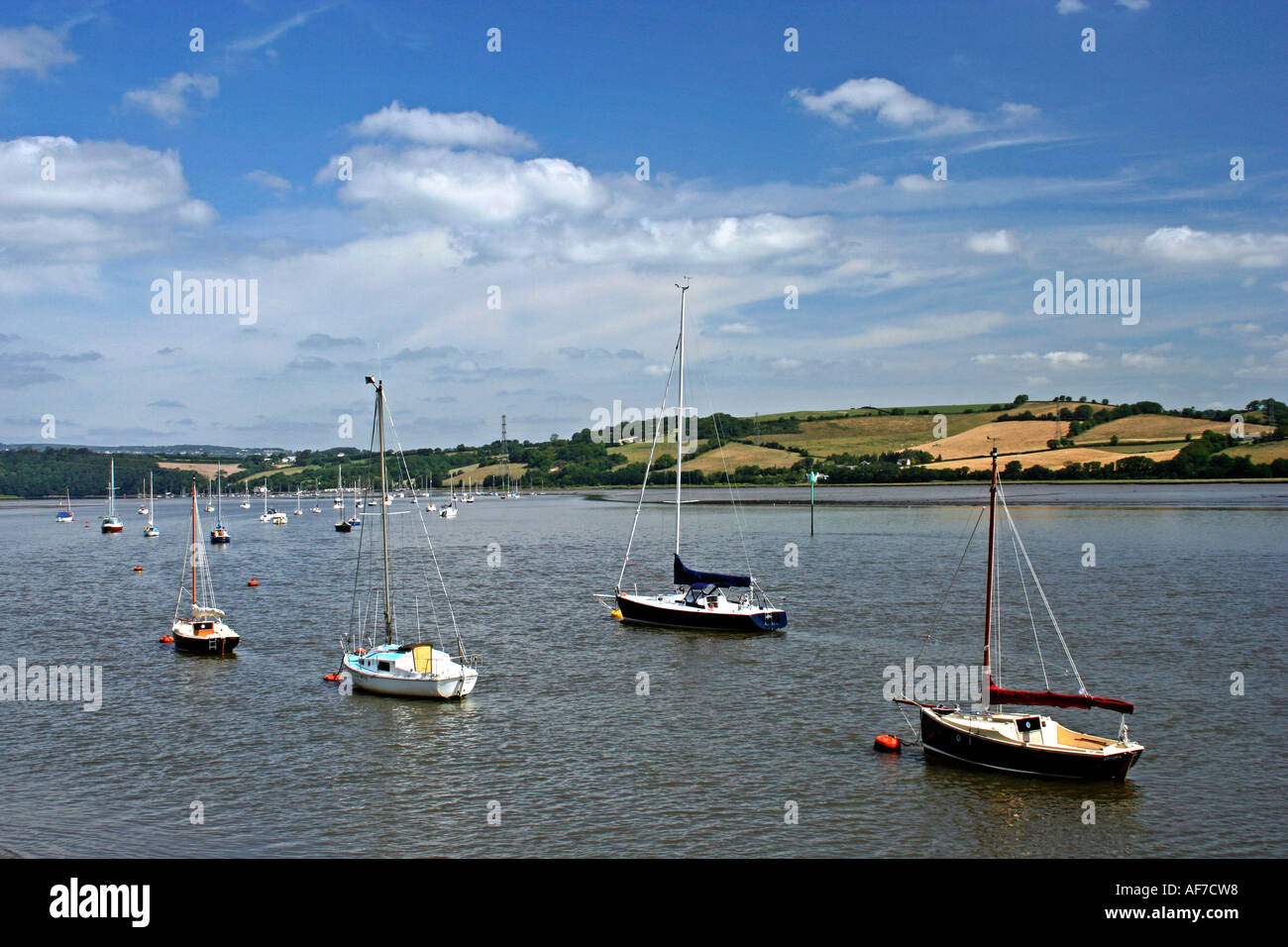 The river tamar hi-res stock photography and images - Alamy