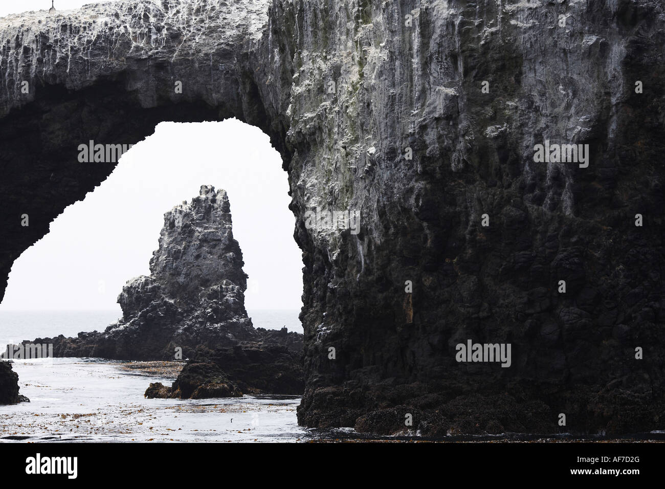 Arch Rock in Anacapa Island Channel Islands National Park, California ...