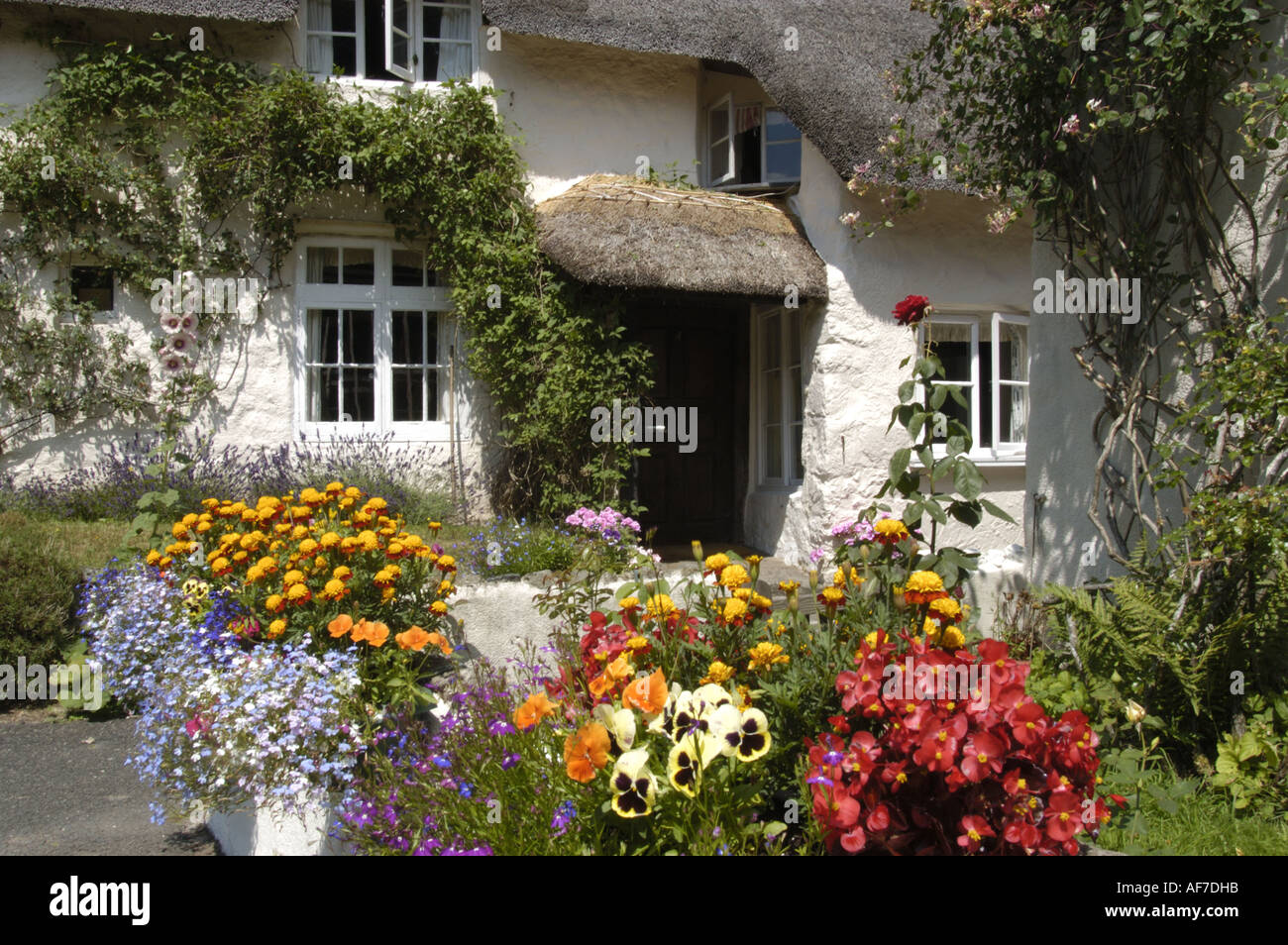 Houses in Lustleigh Village Dartmoor National Park Devon England Stock ...