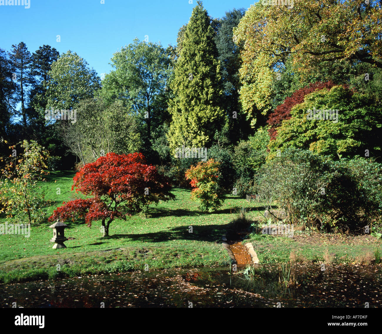 Bryngarw country park and garden hi-res stock photography and images ...