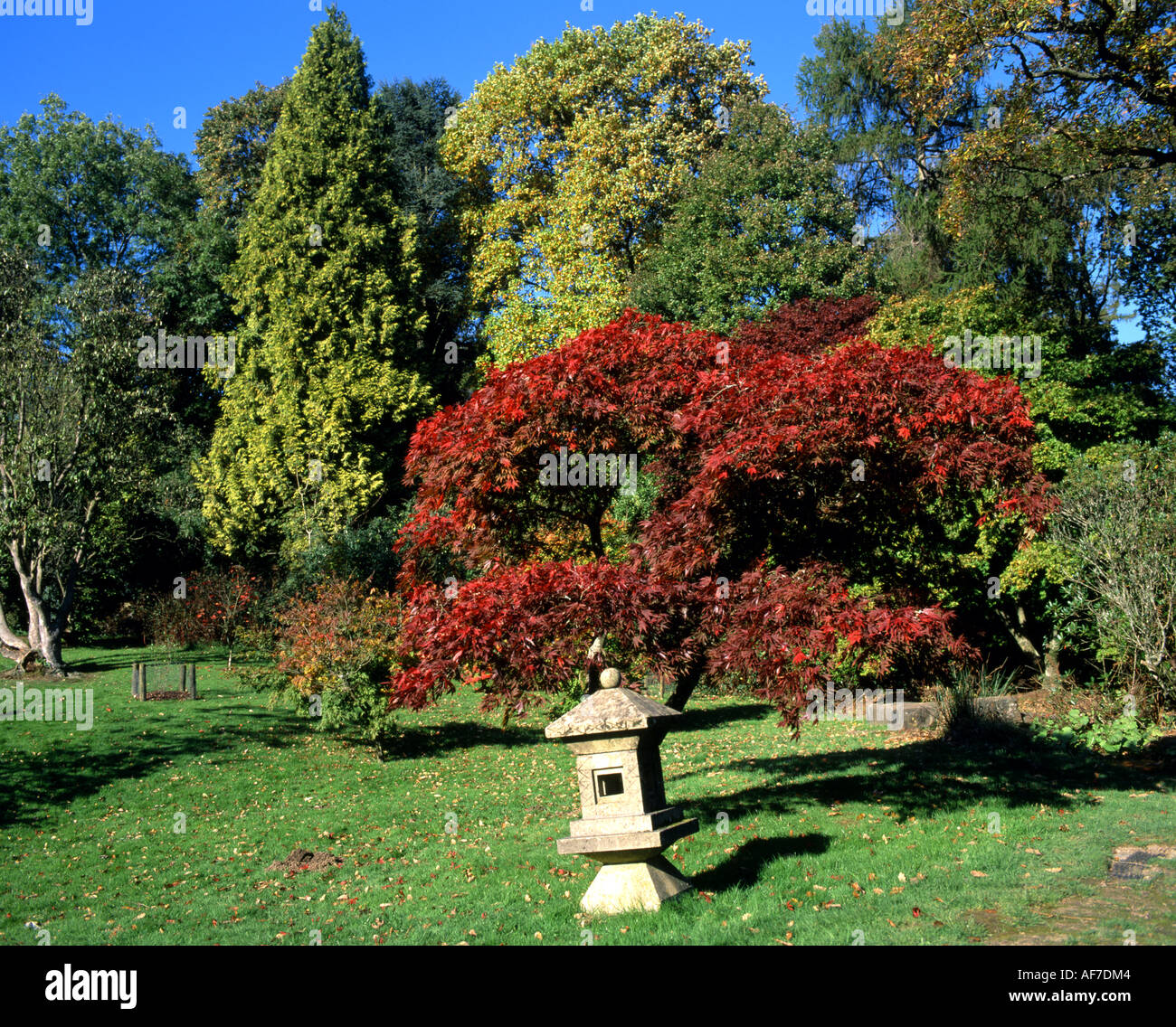 Bryngarw country park and garden hi-res stock photography and images ...